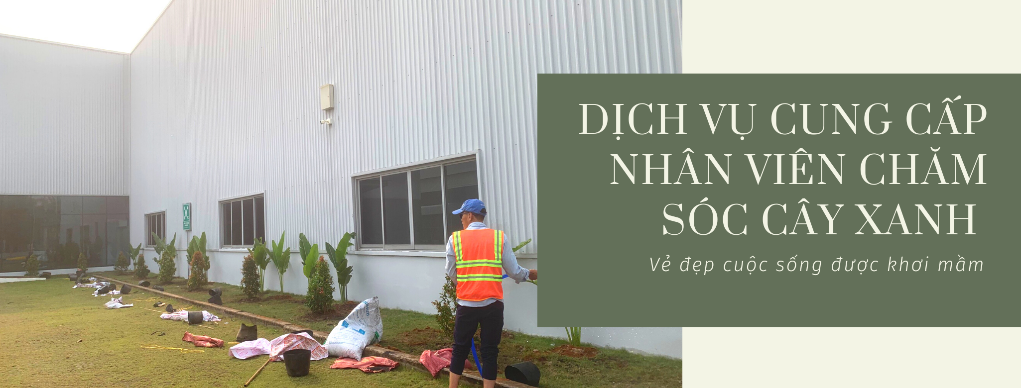 Bảng giá dịch vụ cung cấp nhân viên chăm sóc cây xanh Biên Hoà - Dịch vụ môi trường HoLa